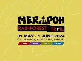 Merapoh Rainforest Trail 2024 | Checkpoint Spot